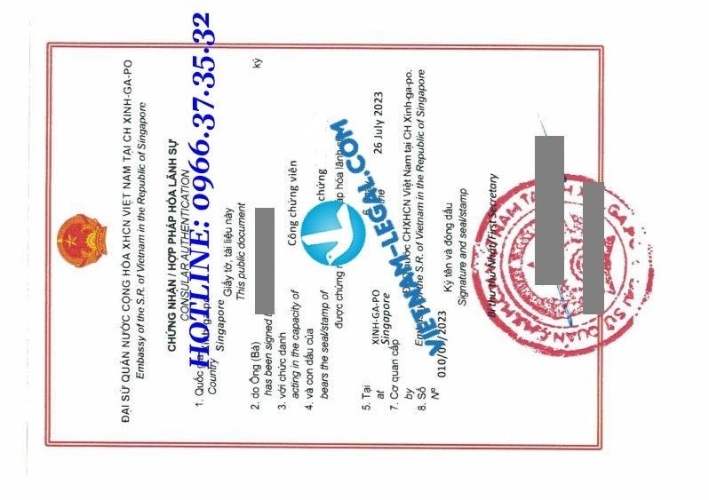 Legalization result of Balance Sheet issued in Singapore for use in ...